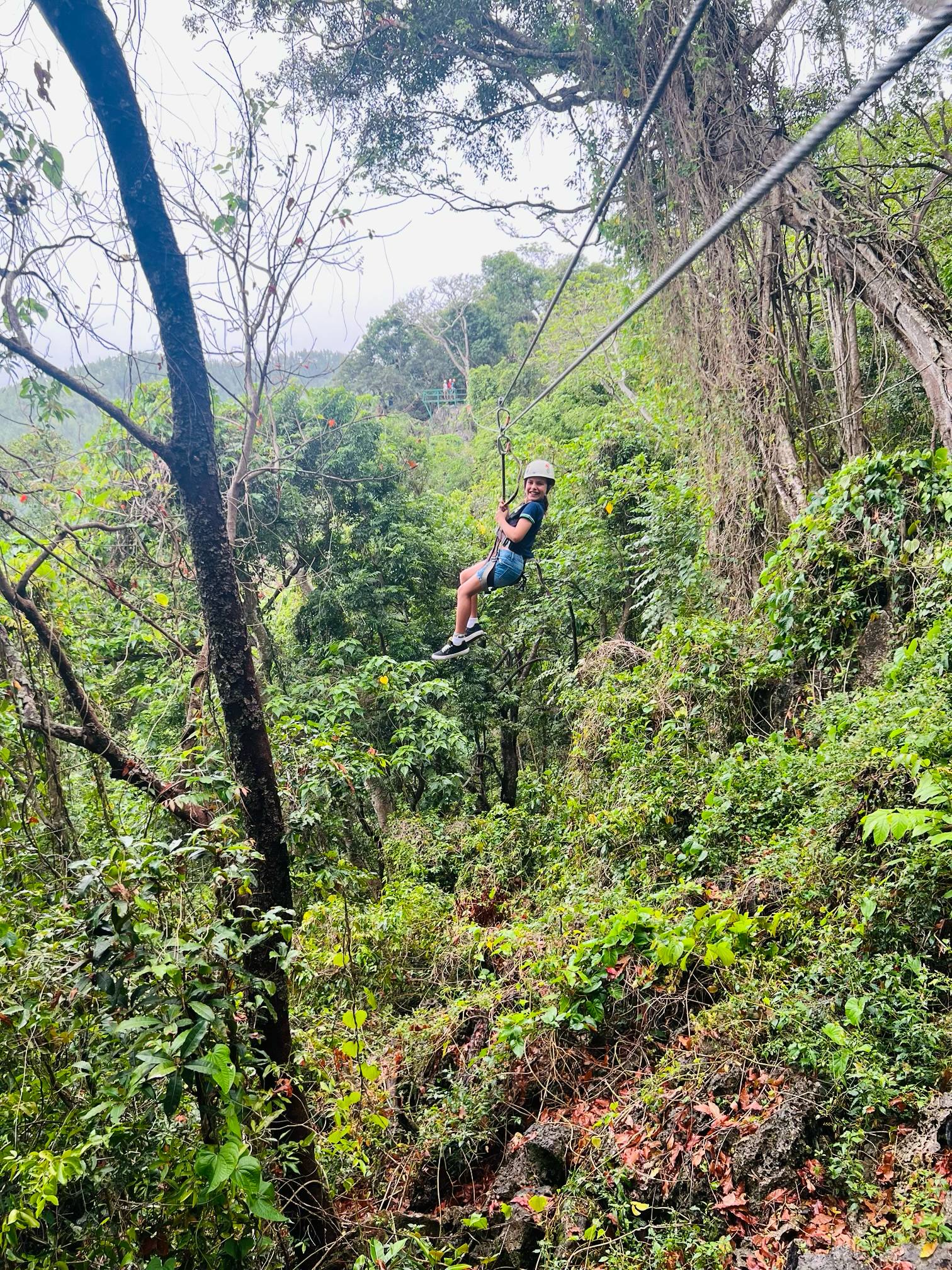 Ziplining in Fiji: Soar Through Paradise - Chirn Park